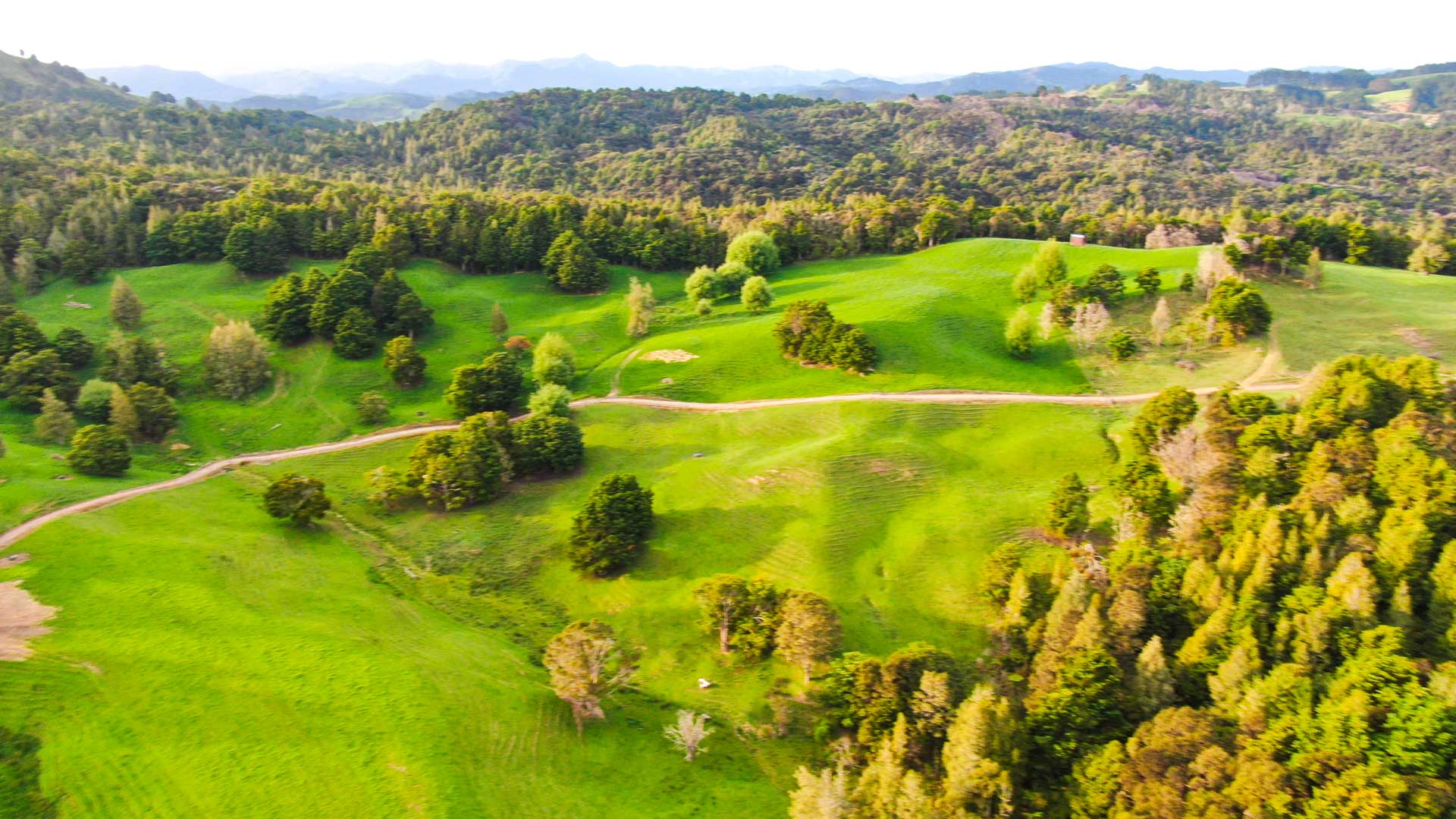 Portfolio - Weblizard - your Digital Marketing Agency