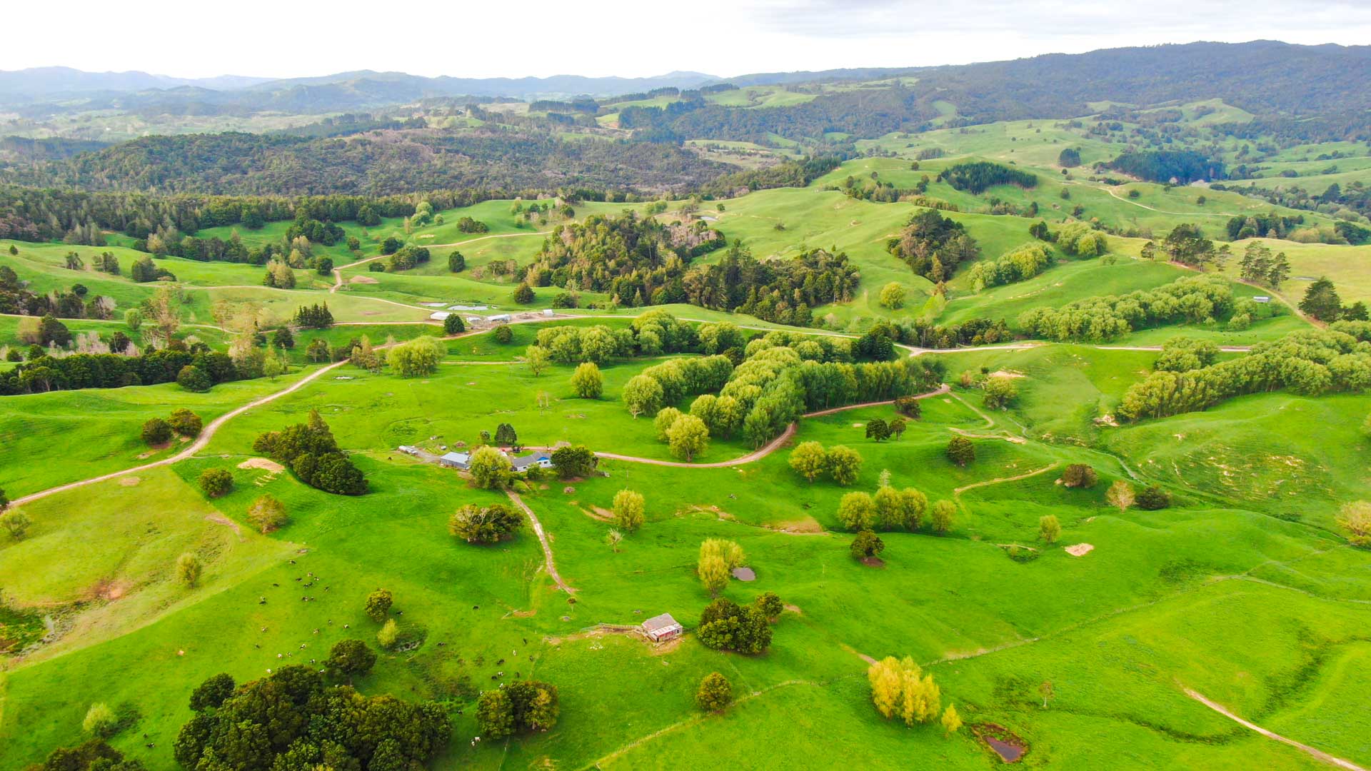 Portfolio - Weblizard - your Digital Marketing Agency